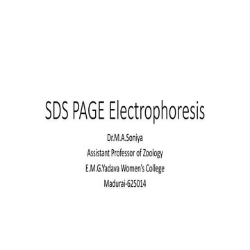 Trouble Shooting of SDS PAGE Analysis | PDF