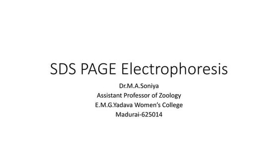 Introduction, Principle, Instrumentation and Applications of SDS-PAGE ...