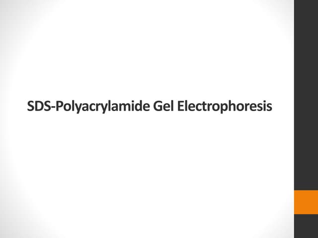 Sds-Page | PPTX