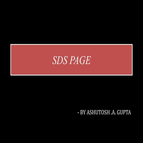Sds page | PPT