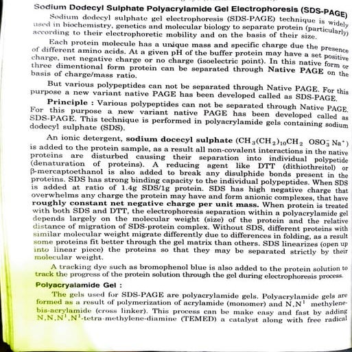 SDS PAGE (Electrophoresis) Book Notes | PDF