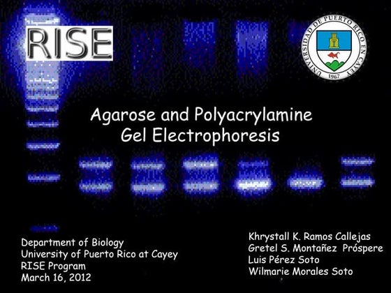 Introduction, Principle, Instrumentation and Applications of SDS-PAGE ...