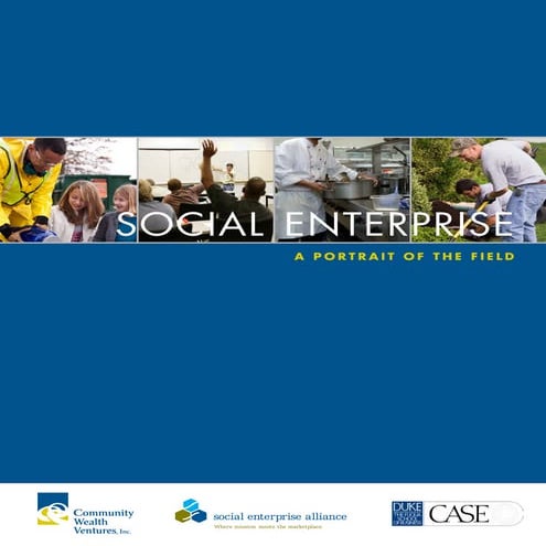Social Enterprise - Portrait of the Field | PDF