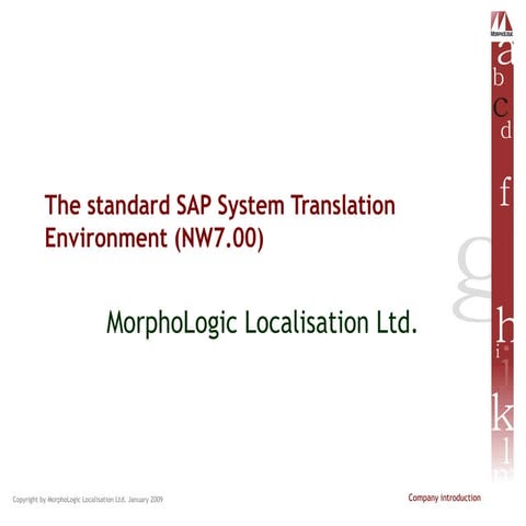 The Standard SAP Translation Environment | PPT