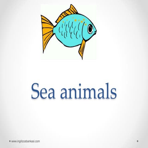 Sea animals | PPTX