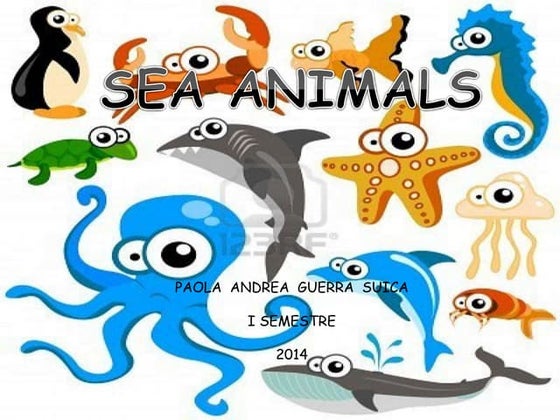 sea animals | PPT