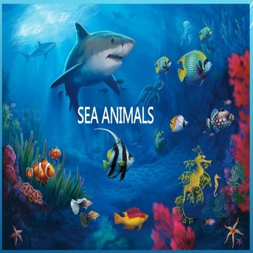 Sea animals | PPTX