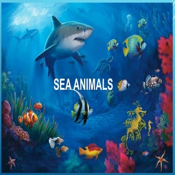 Sea animals | PPT