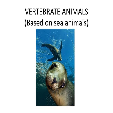 Sea animals classification | PPTX