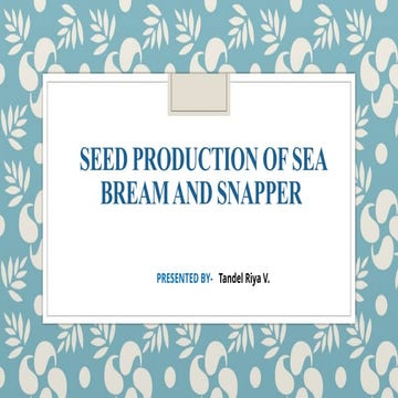 sea bream and snapper.pptx,,,,,,,,,,,,,, | PPT