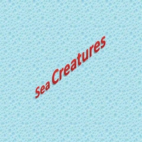 Sea creatures | PPSX