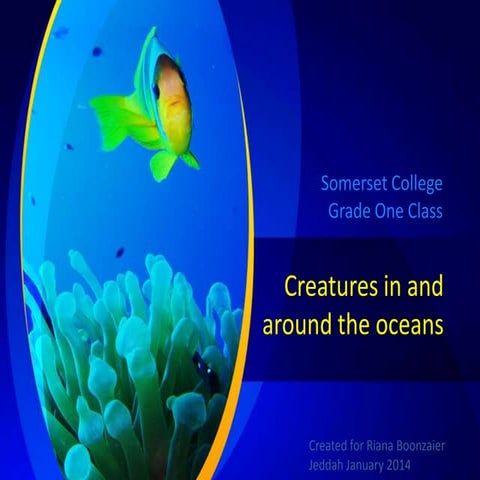 Sea creatures | PPT