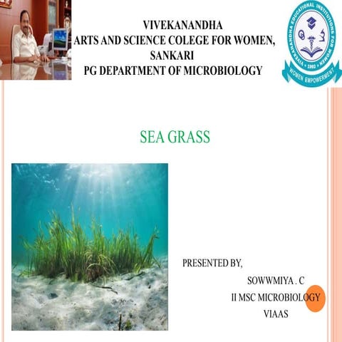 Seagrass Biology and Applications & Taxonomy | PPT