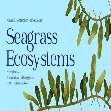 Seagrass Ecosystem Coastal Connection to the OCEANs | PDF