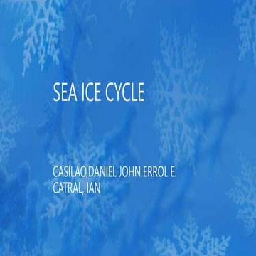 SEA ICE CYCLE.pptx