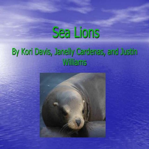 Sea Lions | PPT | Zoos & Aquariums | Attractions