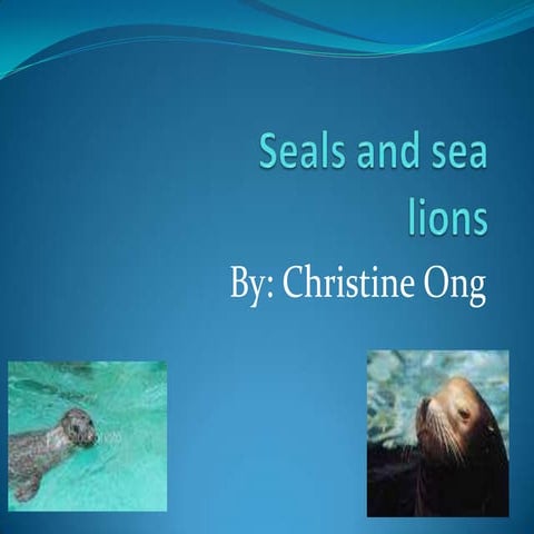 Seal & Sea Lions | PPT