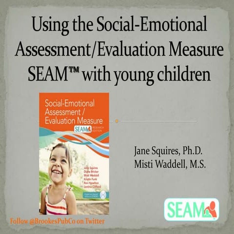 Using the Social-Emotional Assessment/Evaluation Measure (SEAM™) with ...