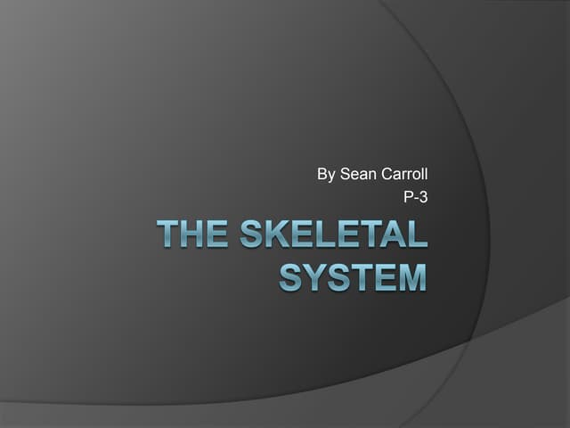 FUNCTIONS OF SKELETAL SYSTEM grade 4pptx | PPTX