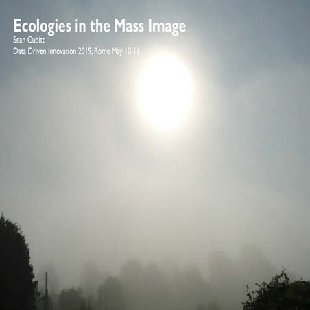 Ecologies in the Mass Image:Sean Cubitt, (Goldsmiths, University of ...