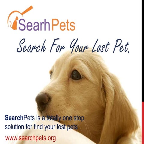Search pets lost pets finder-how to find a lost pet-Search my lost pet | PPTX