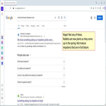Search Result Showing My Post is Now Buried | PPT