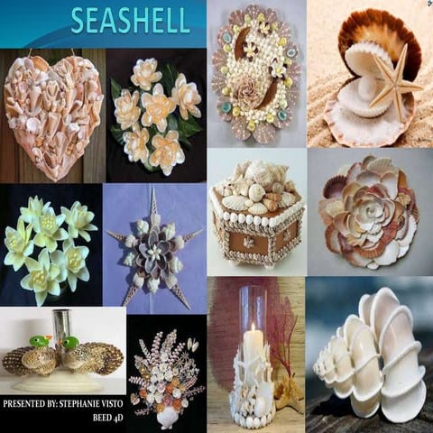 Seashell | PPTX