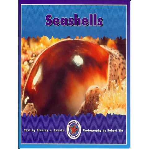 Seashells book | PPTX