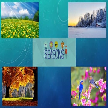 Seasons of the year | PPTX