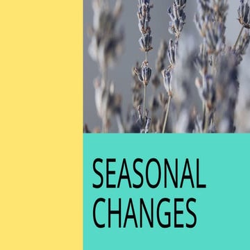 Seasonal Changes Science Presentation Colourful Photographs.pptx