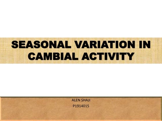 Vascular Cambium & Seasonal activity & its Role in Stem & Root | PPT