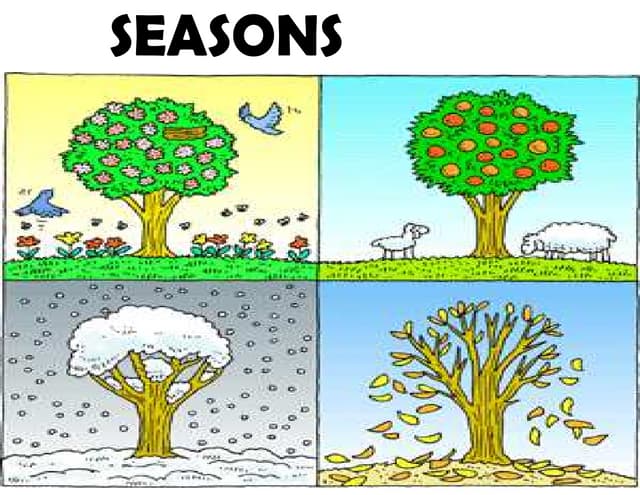 Four Seasons Clipart Kids