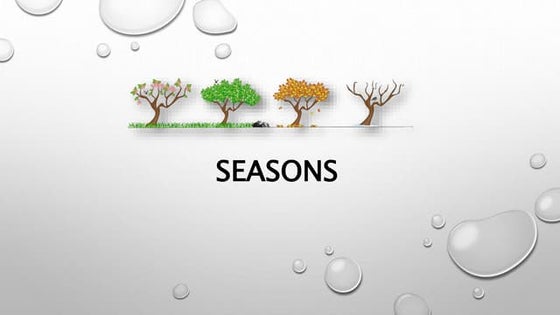The four seasons | PPTX