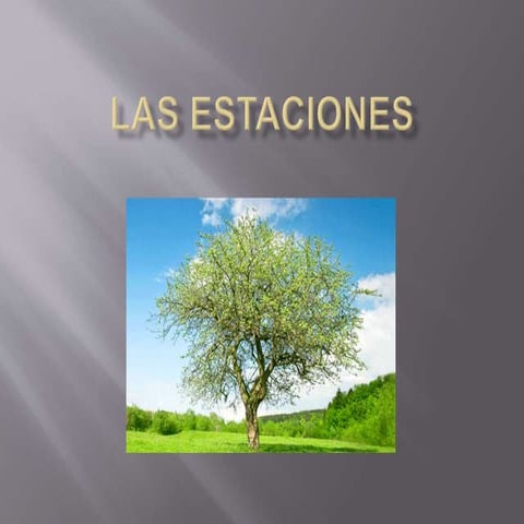 Seasons in Spanish | PPTX