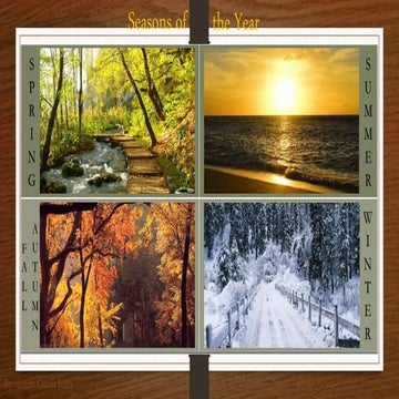 Seasons of the year | PPTX