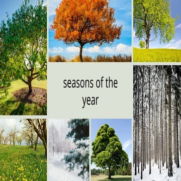 Seasons of the year for kids and children | PPTX