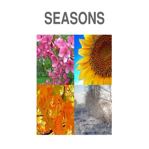 Seasons by April Murphy | PDF
