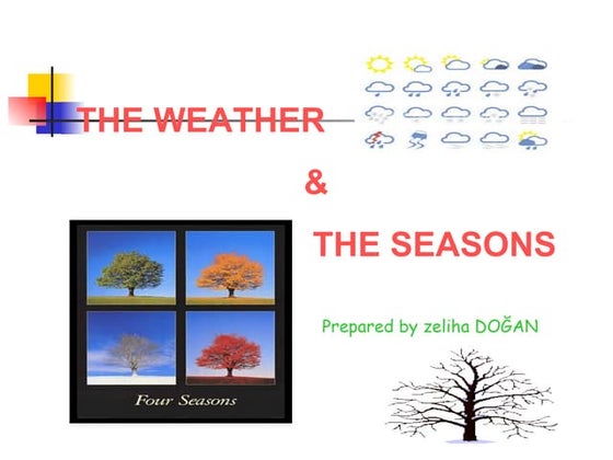 The weather | PPT