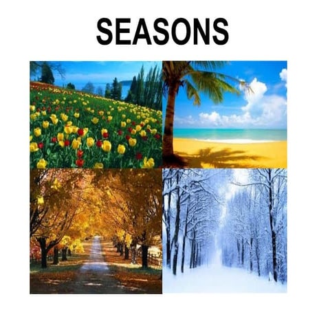 Seasons blog | PPT