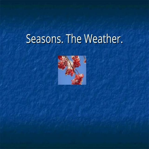 Weather, clothes and seasons | PPTX