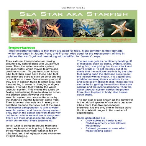 Seastar | PDF