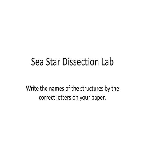 Sea star dissection powerpoint | PPT