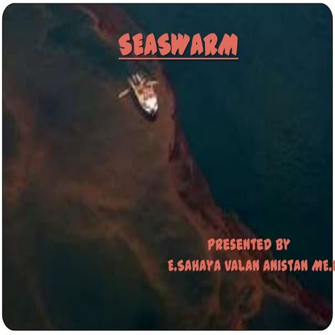 Seaswarm (2) | PPTX