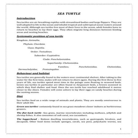 Sea turtle | PDF
