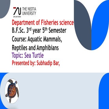 Sea Turtle Understanding the Biology, Habitat, Reproductive Biology and ...