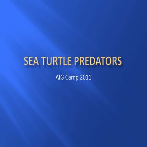 Sea turtle Predators | PPTX