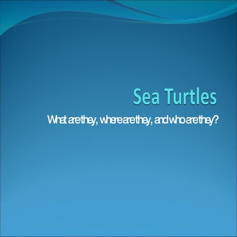 Sea Turtles Compatible | PPT