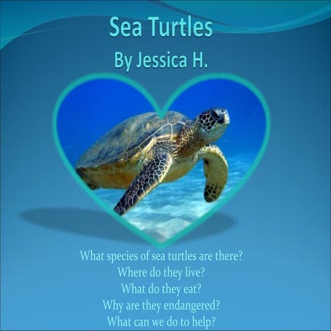 Turtle Conservation | PPTX