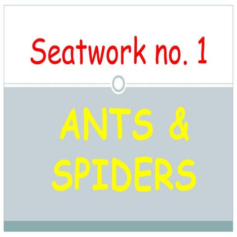 Ants and Spiders | PPTX