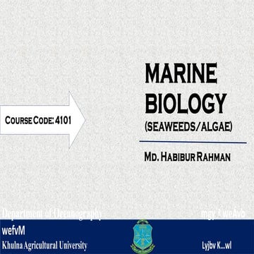 Chapter 6 - Seaweed | PPTX